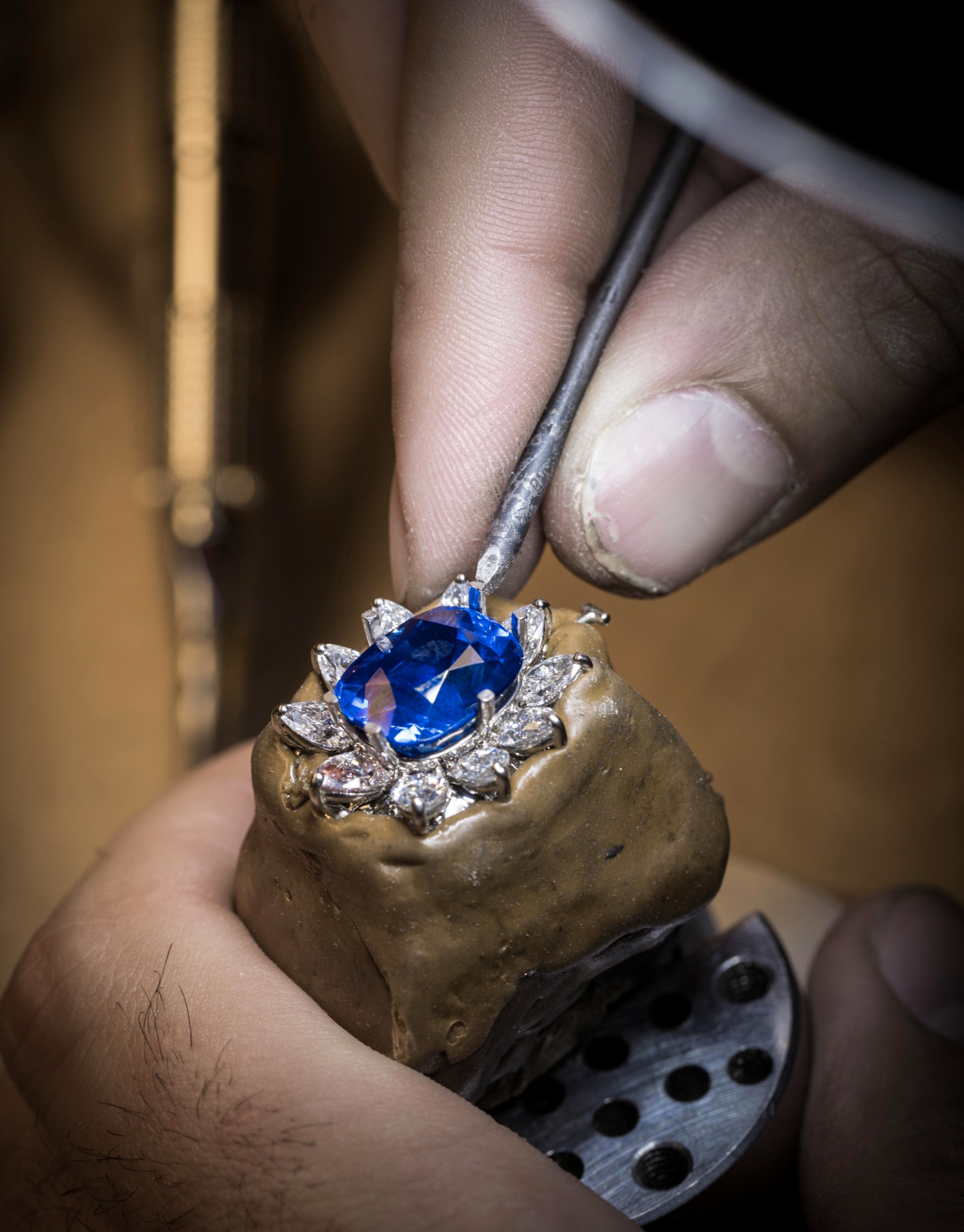 Van Cleef & Arpels and Pierres de Caractère - Van Cleef & Arpels